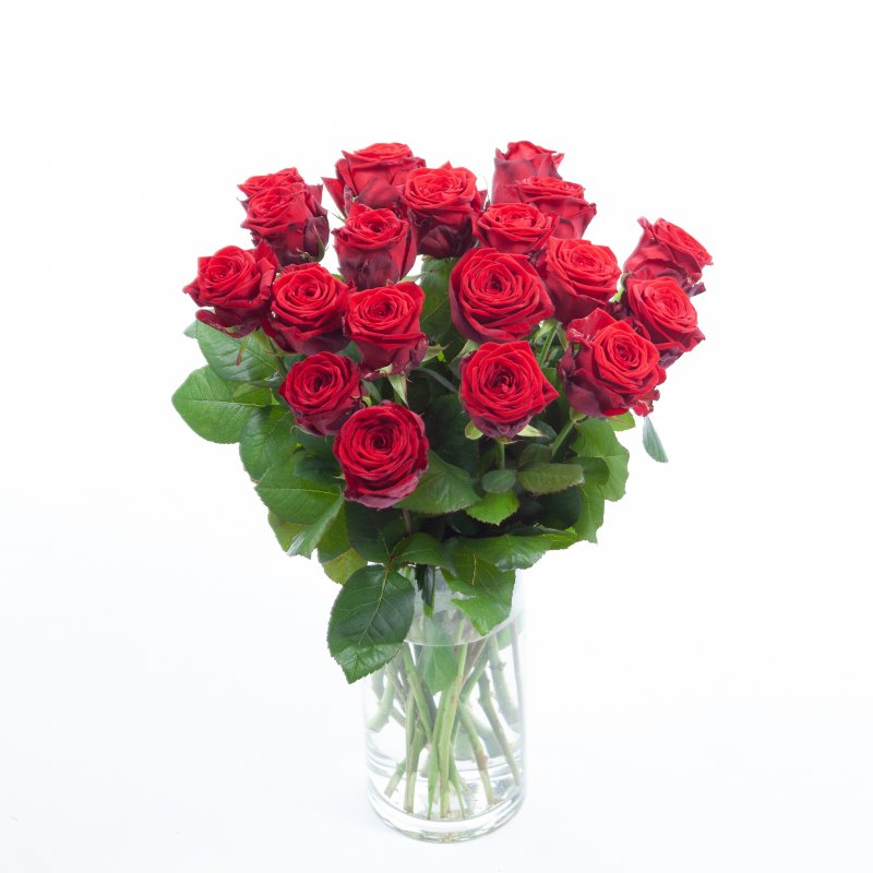 Punainen Ruusukimppu